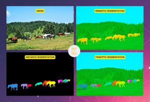 Types and Roles of Image Segmentation in Computer Vision